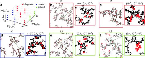 Morphology Phase Diagram And Representative Structures Of Different
