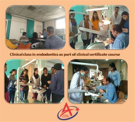 Ahead Dental Academys Blog Clinical Class In Endodontics As Part Of