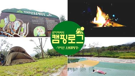 ∥우리가족 우중캠핑∥ 가야산오토캠핑장∥ 캠핑로그∥ Youtube