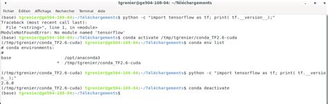 Install Tensorflow2 Or PyTorch MONAI Dev With Conda Thomas Grenier