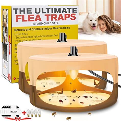 What Are The Best Electric Flea Trap Our Picks Bestweldinggears
