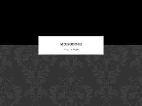 Ppt Mongoose Powerpoint Presentation Free Download Id2002985