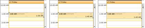 WPF ScheduleView Snapping Appointments Telerik UI For WPF