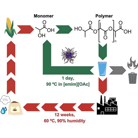 How Are Enzymes Used In Washing Detergents At Zara Khull Blog