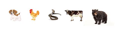 Write The Difference Between A Viper And A Krait