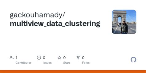 github gackouhamady multiview data clustering