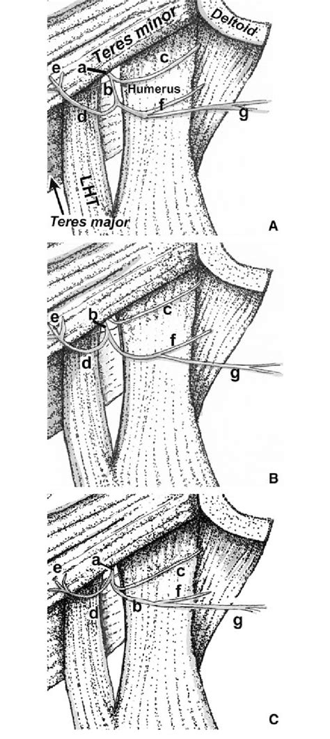 Quadrangular Space Drawing