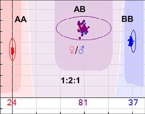 Three Cluster Single Nucleotide Polymorphism Snp Genotype Calling Download Scientific