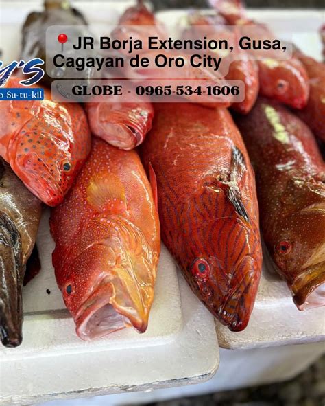 Doys Isda Sa Bato Added A New Photo Doys Isda Sa Bato