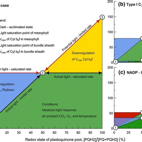 The Maximum Activity Of Cyt B6f Limits Electron Transport In The Download Scientific Diagram