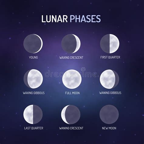 Moon Life Cycle Diagram Stock Vector Illustration Of Light 92183693