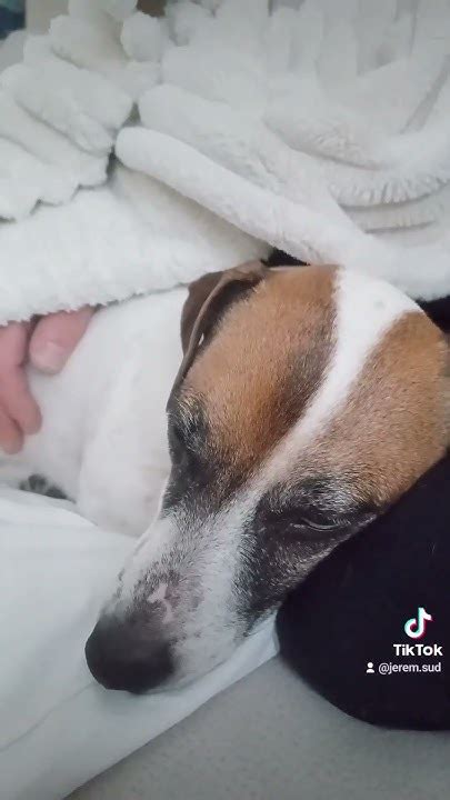 Trop Mignion Youtube