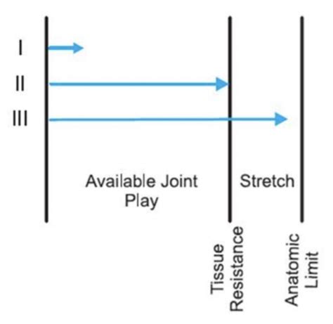 mobilization and manipulation flashcards quizlet