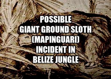 Please Enable Javascript