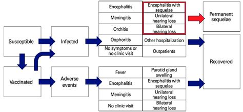 Decision Tree Flowchart Of Mumps Infection And Adverse Events Due To Download Scientific