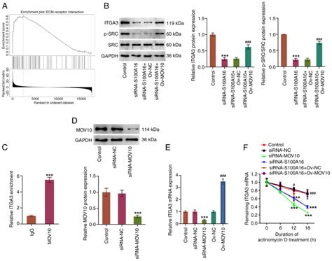 Molecular Medicine Reports