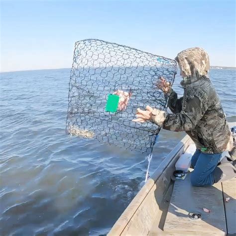 How To Make A Diy Crab Trap
