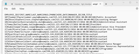 In Out Parameter In Iics Hireforceglobal