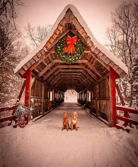 Pin By Kat Bee Gee On Christmas Stuff Covered Bridges Winter Scenery