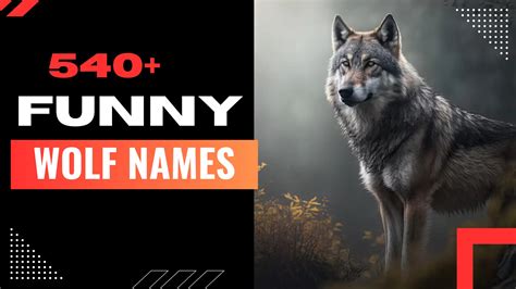371 Funny Wolf Names Try Our Generator 2024