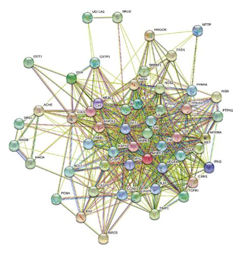 Protein Protein Interaction Ppi Analysis Of Core Targets Of Qingdu