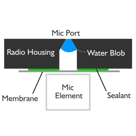 Radio Or Headset Sound Muffled Wildtalk