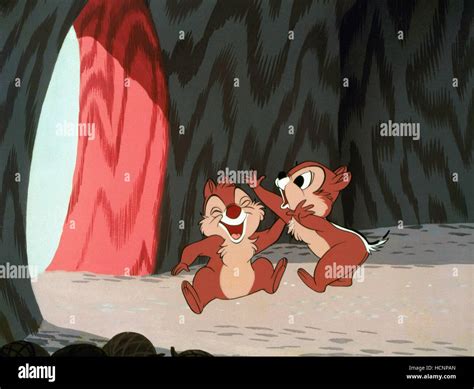 Up A Tree Chip N Dale 1955 © Walt Disney Co Courtesy Everett