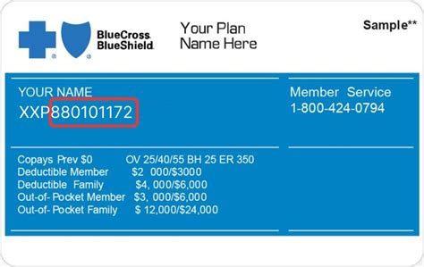 Find Out If Prior Authorization Is Required Blue Cross Blue Shield Of