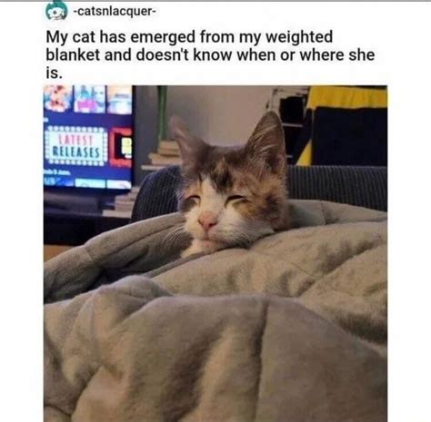 Alien Crew Mate Learns What Weighted Blankets Are And The Effects They