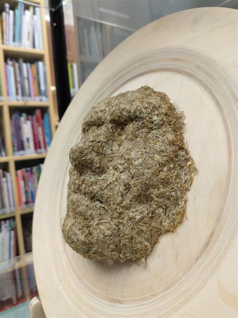 Heidi Piippo Tekee Taidetta Luonnon Ehdoilla Kokemäenjokilaakson Uutiset