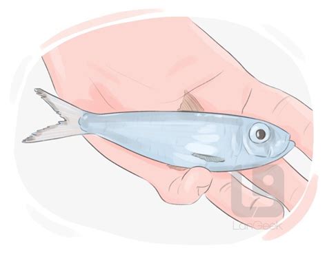 Definition And Meaning Of Whitebait Picture Dictionary