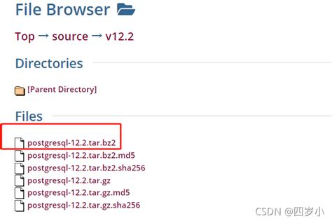 Ubuntucentos下离线安装postgresql数据库及相关插件hypopgubuntu离线安装postgre Csdn博客