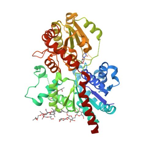 Rcsb Pdb 8hjh Crystal Structure Of Glycosyltransferase Sgugt94 289 3
