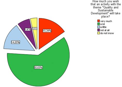 Pie Chart Analysis Of The Variable How Much You Wish That An Activity