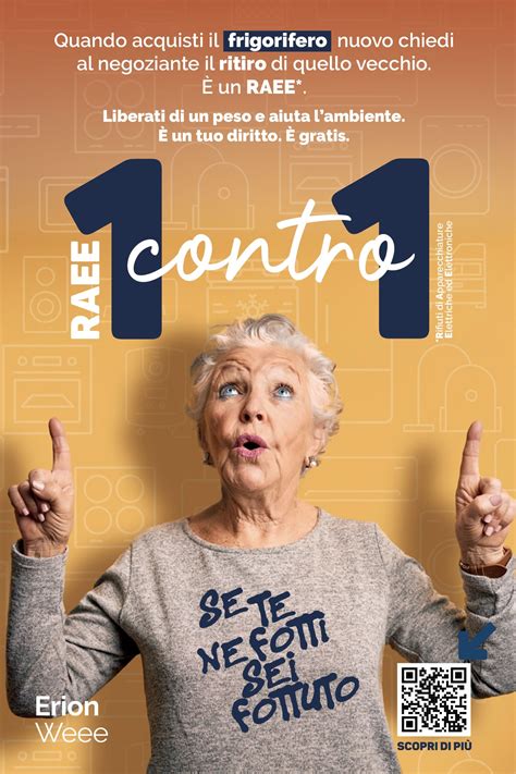 Se Te Ne Fotti Sei Fottuto Servizio Di Ritiro Raee Erion Weee