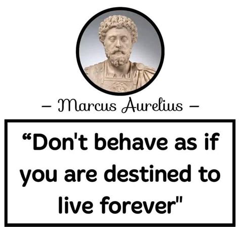 Marcus Aurelius Quote Memes Imgflip