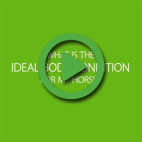 Horse Body Condition Score Video Kpp