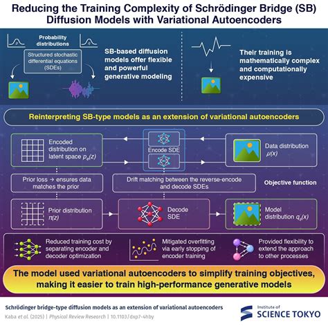 Interrupting Encoder Training In Diffusion Models Enables More Efficient Generative Ai