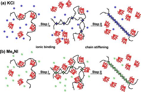 Electrostatic Complexation Of κ Cargelatin As Affected By The Download Scientific Diagram