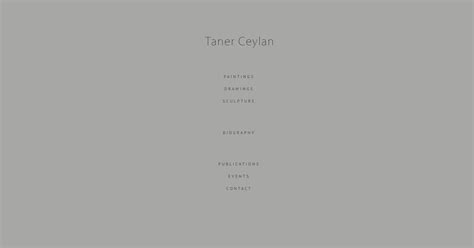 Taner Ceylan Destech Internet Hizmetleri