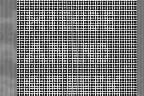 Optical Illusion இந்த படத்தில் எழுதி இருக்கும் மூன்று வார்த்தைகளை