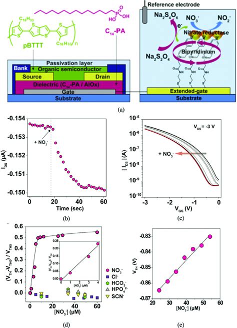 Cross Section Of The Proposed Otft Based Nitrate Biosensor And Its Download Scientific Diagram