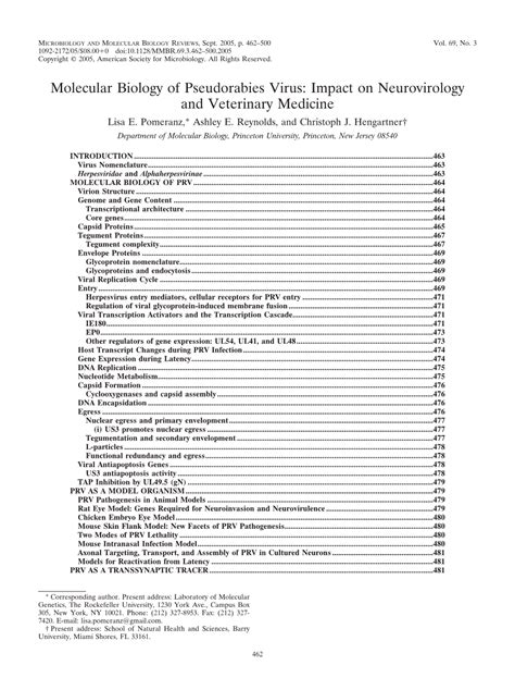 Molecular Biology Of Pseudorabies Virus Impact On Neurovirology And