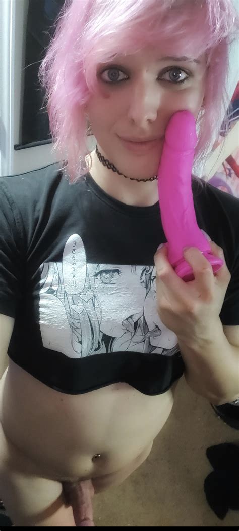 Lost Cause Kitty Photo 5