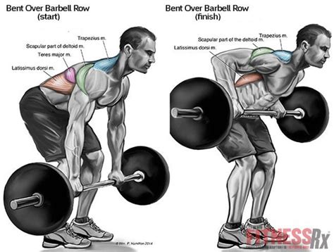 Bent Over Row Barbell