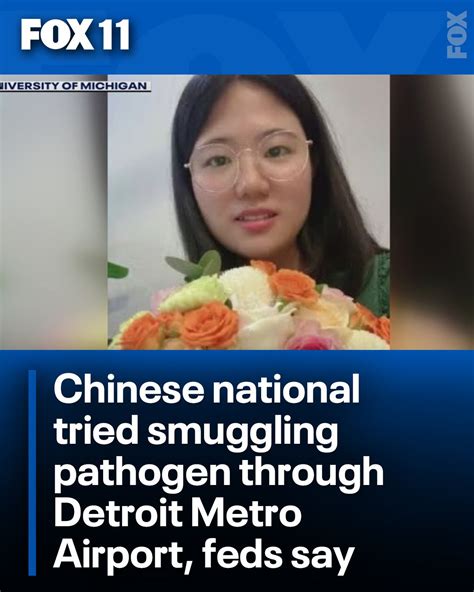 Fox The Individual Who Allegedly Brought The Fungus Into The Us