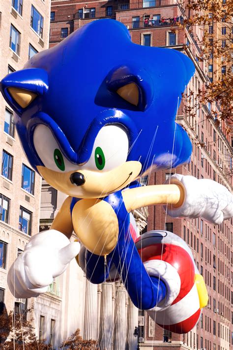 Pin By Kristin Breeden On Sky Sonic Sonic Funny Sonic Franchise