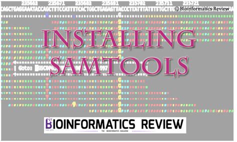 Installing Samtools On Ubuntu — Bioinformatics Review