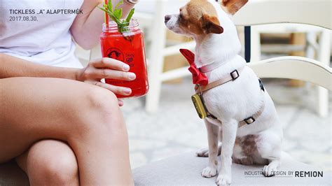 Tickless Mini Formatervezés And Sorozatgyártás Remion Design Kft