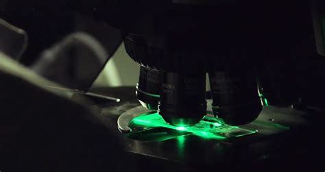 Gpu 伴侣：nvidia App 借助 Ai 驱动的工具和功能为 Rtx Gpu 提供强力支持 Nvidia 英伟达博客